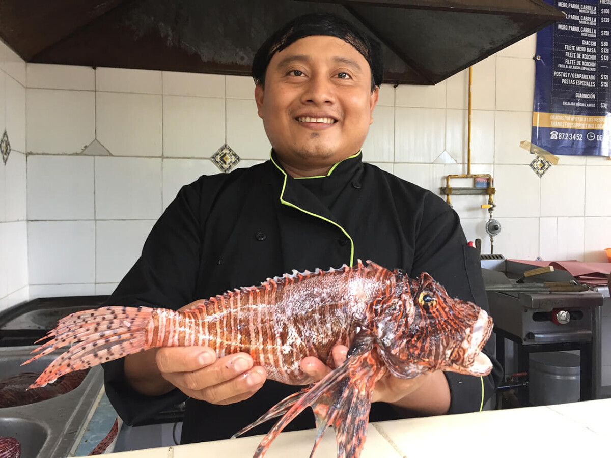 Come en Cozumel un delicioso pez león y ayuda a conservar los arrecifes ...